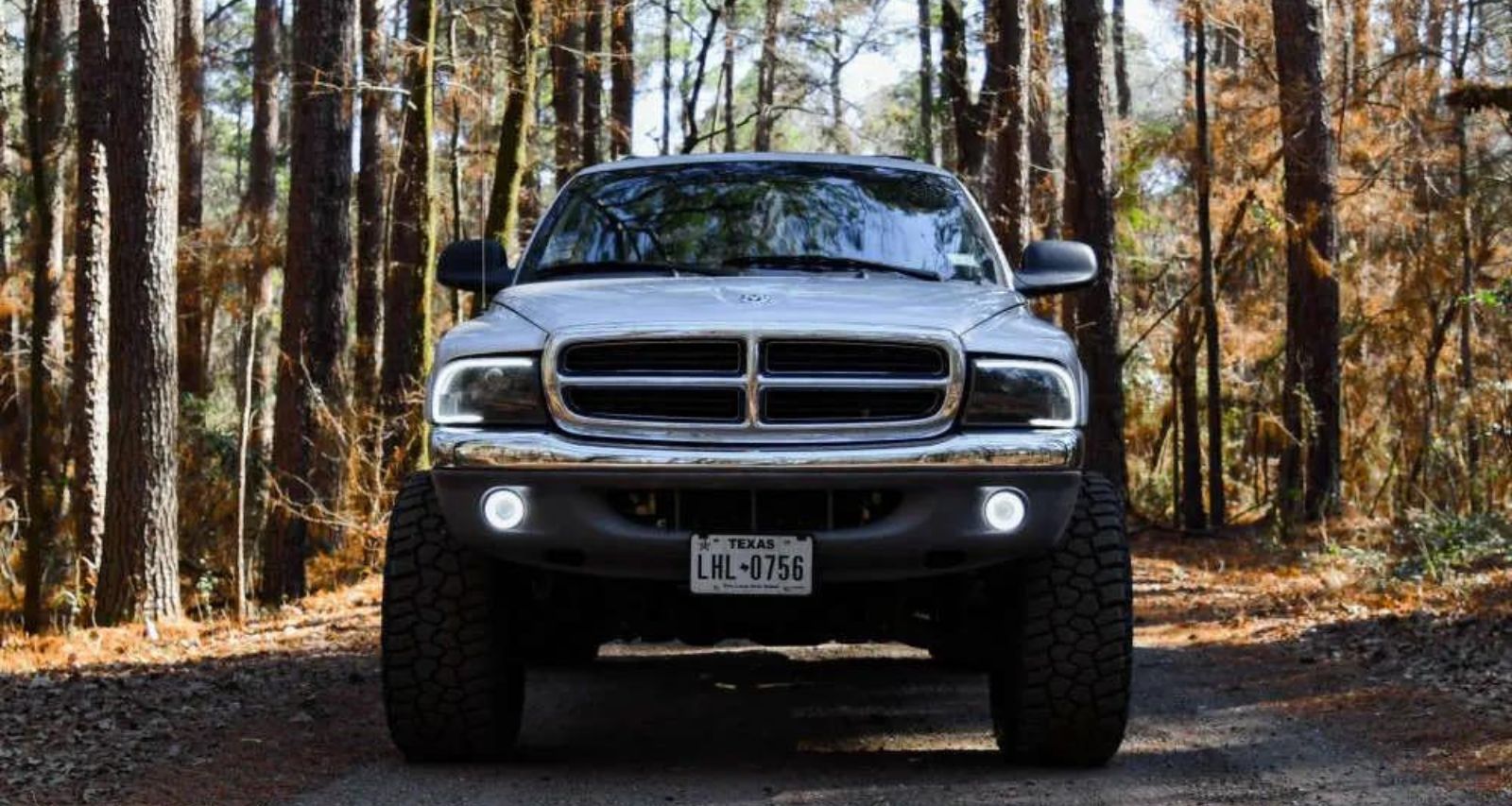 Dodge/RAM Dakota Lighting – Customs Unlimited Wholesale